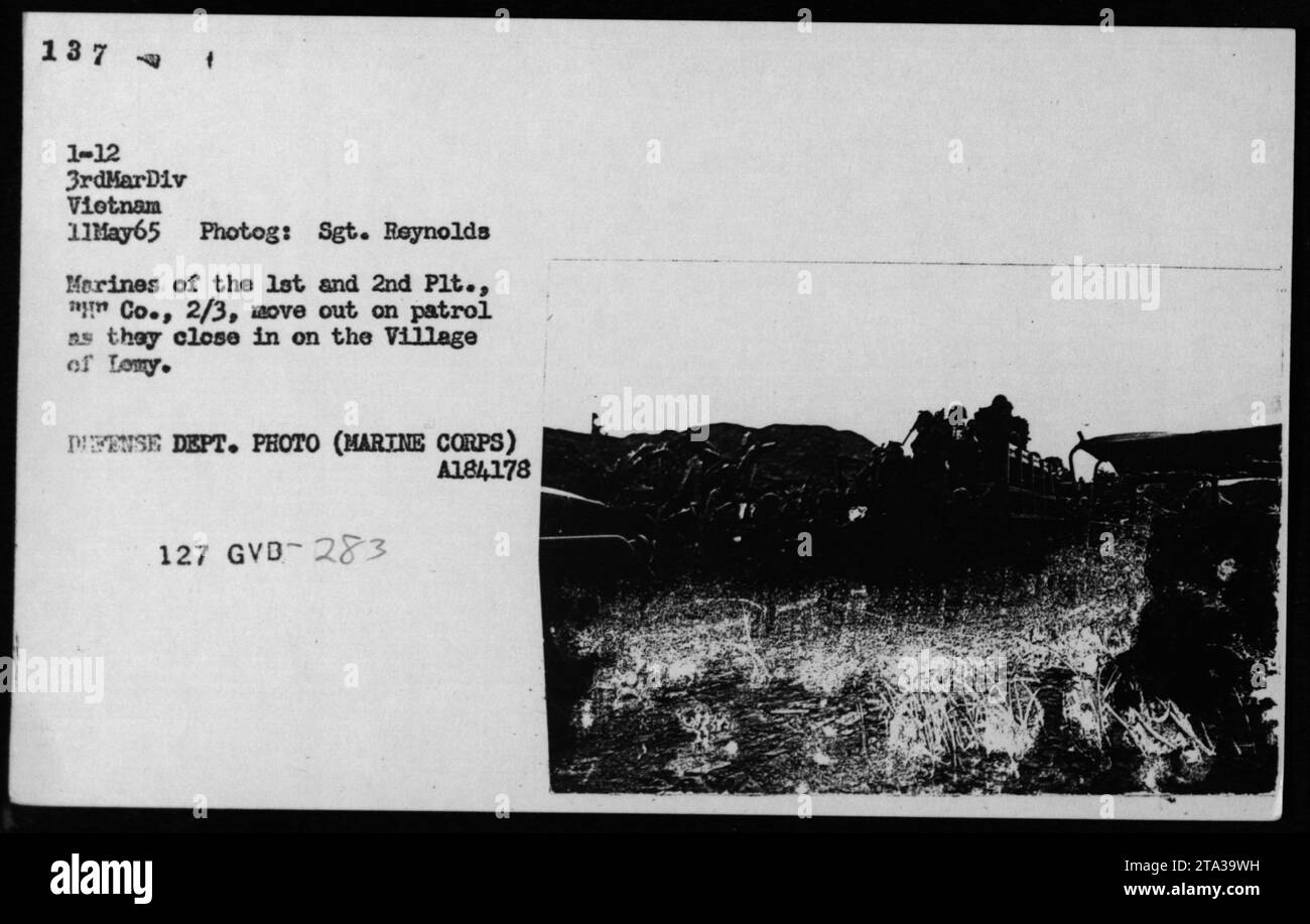Marines from 1st and 2nd Platoons, Company 2/3 patrol near the Village ...