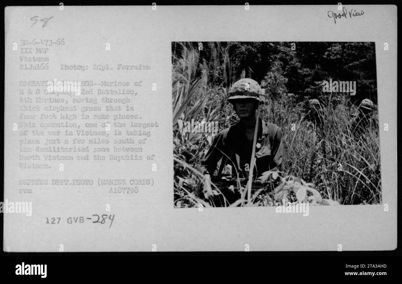 Marines of 8 Company, 2nd Battalion, 4th Regiment are engaged in ...