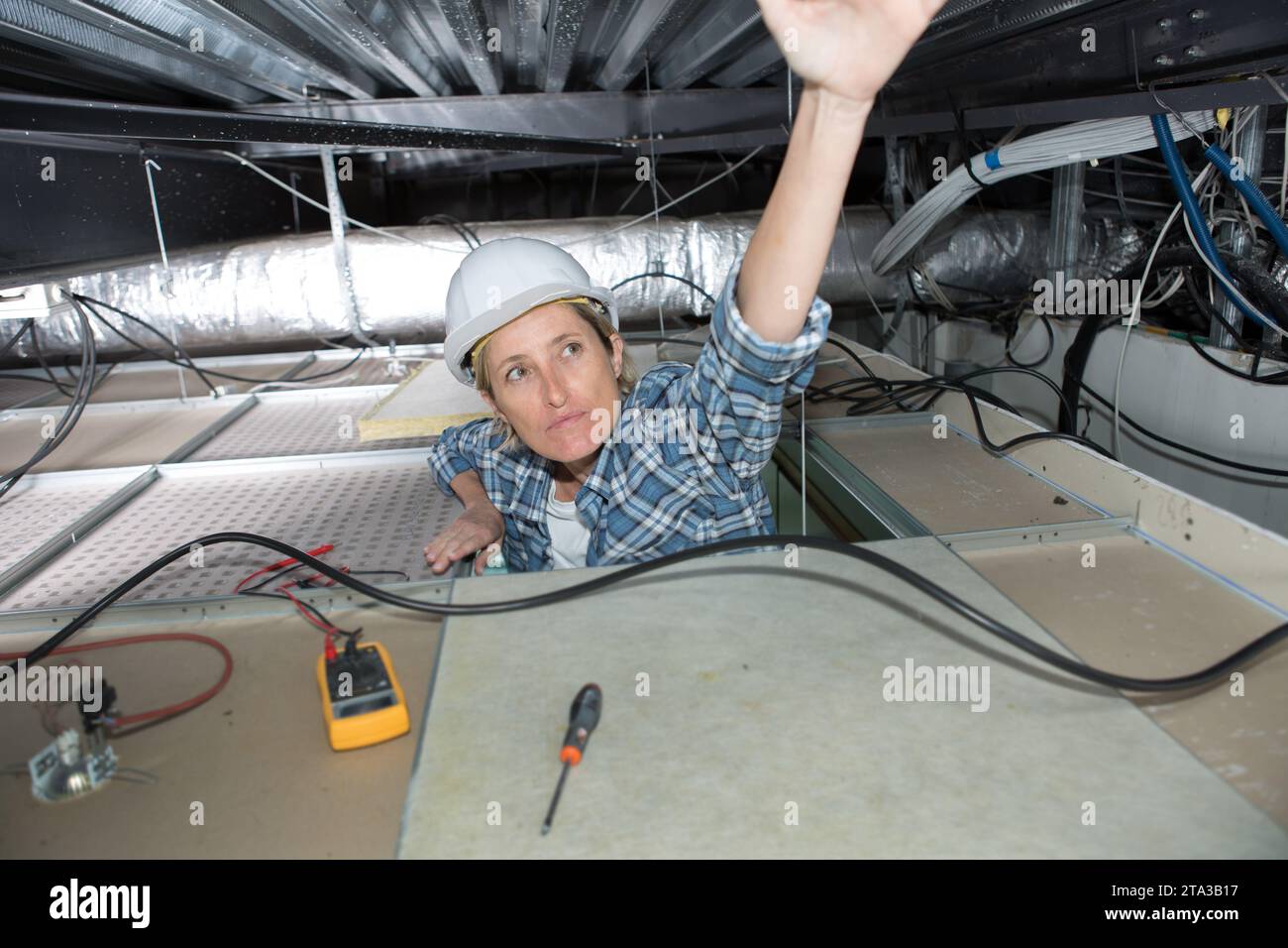 female electrician pulling cables in the ceiling Stock Photo - Alamy