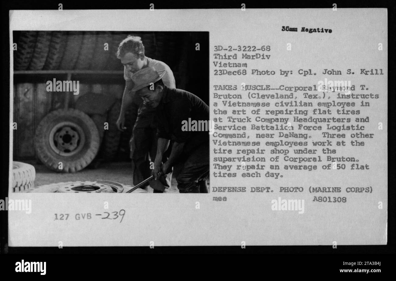 Truck company headquarters and service battalion hi-res stock ...