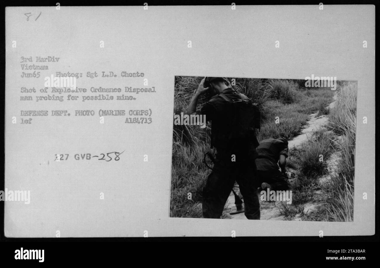 In June 1965, EOD personnel from the 3rd Marine Division probed for ...