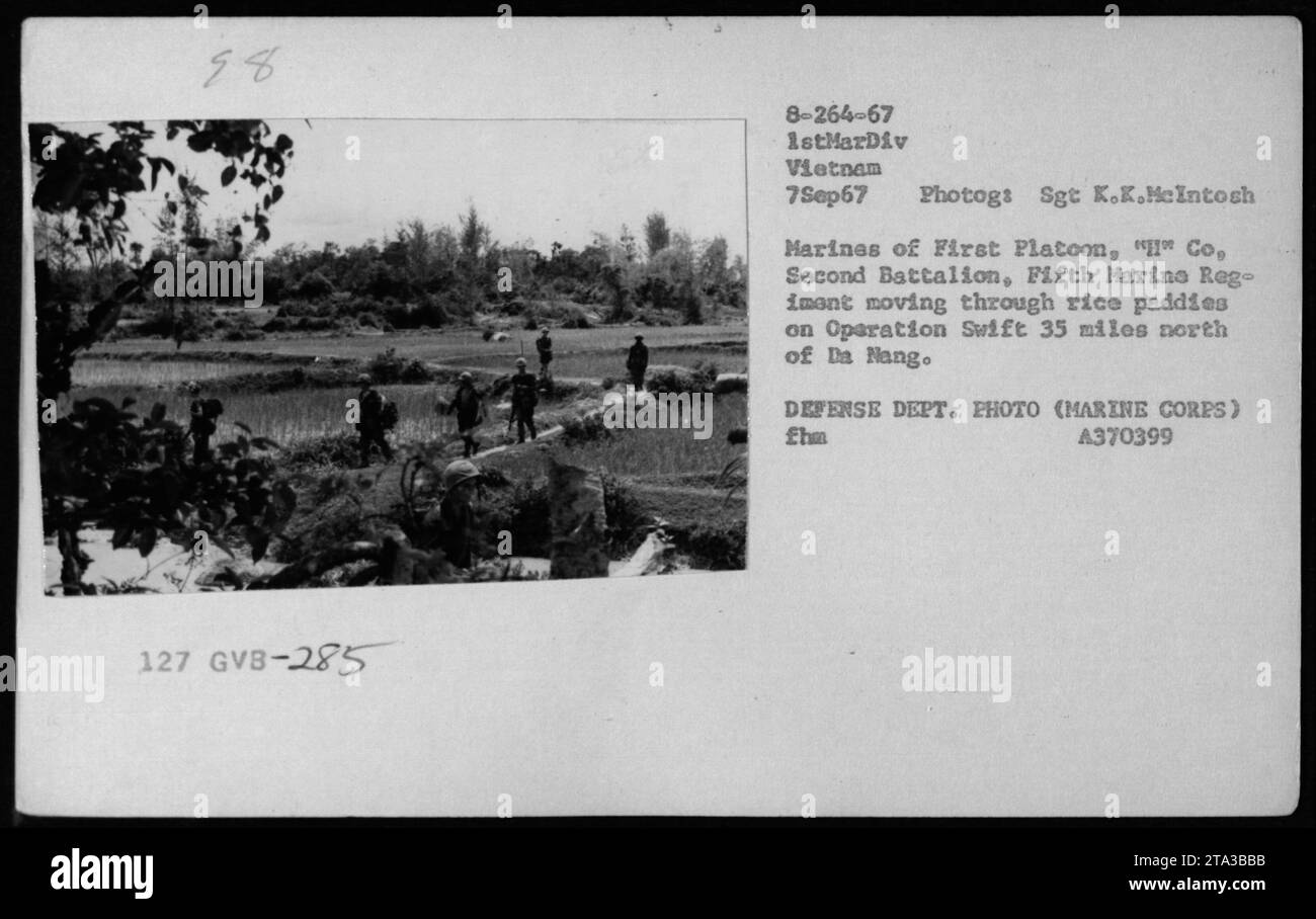 Marines from the First Platoon, Co, Second Battalion, Fifth Marine ...