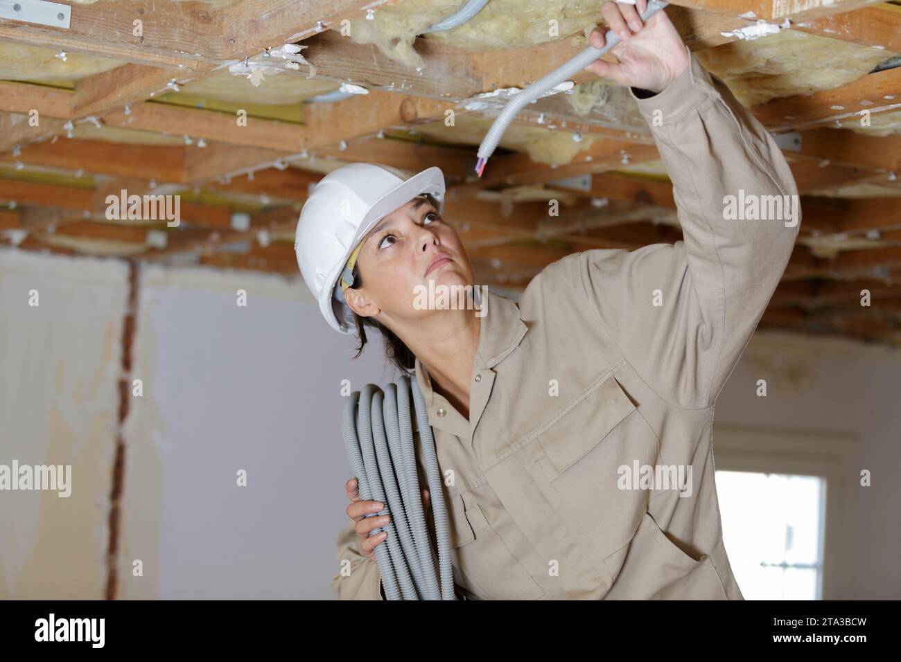 a female builder on ladder Stock Photo - Alamy