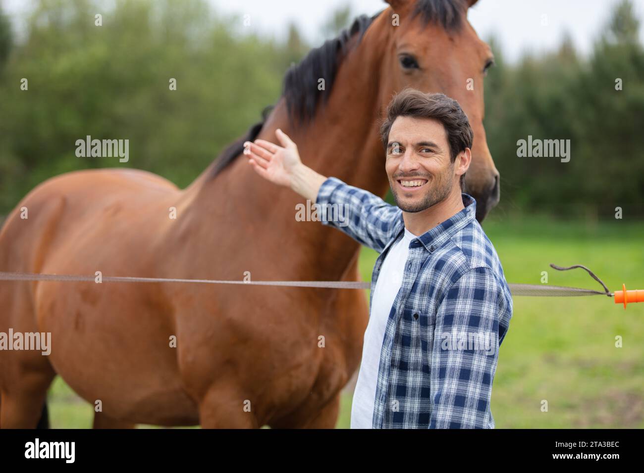 Equine and human affection hi-res stock photography and images - Alamy