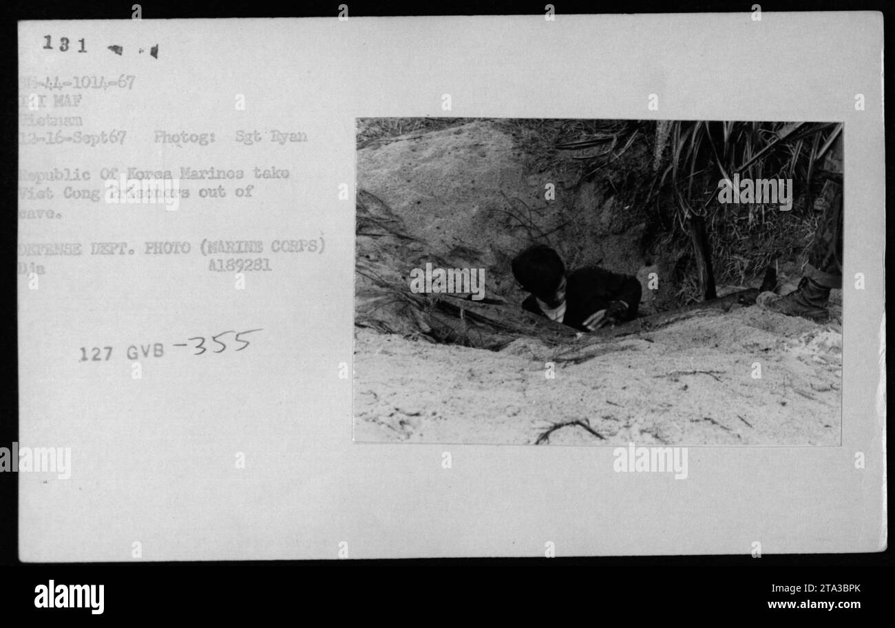Members of the Republic of Korea Marines take Viet Cong prisoners out ...