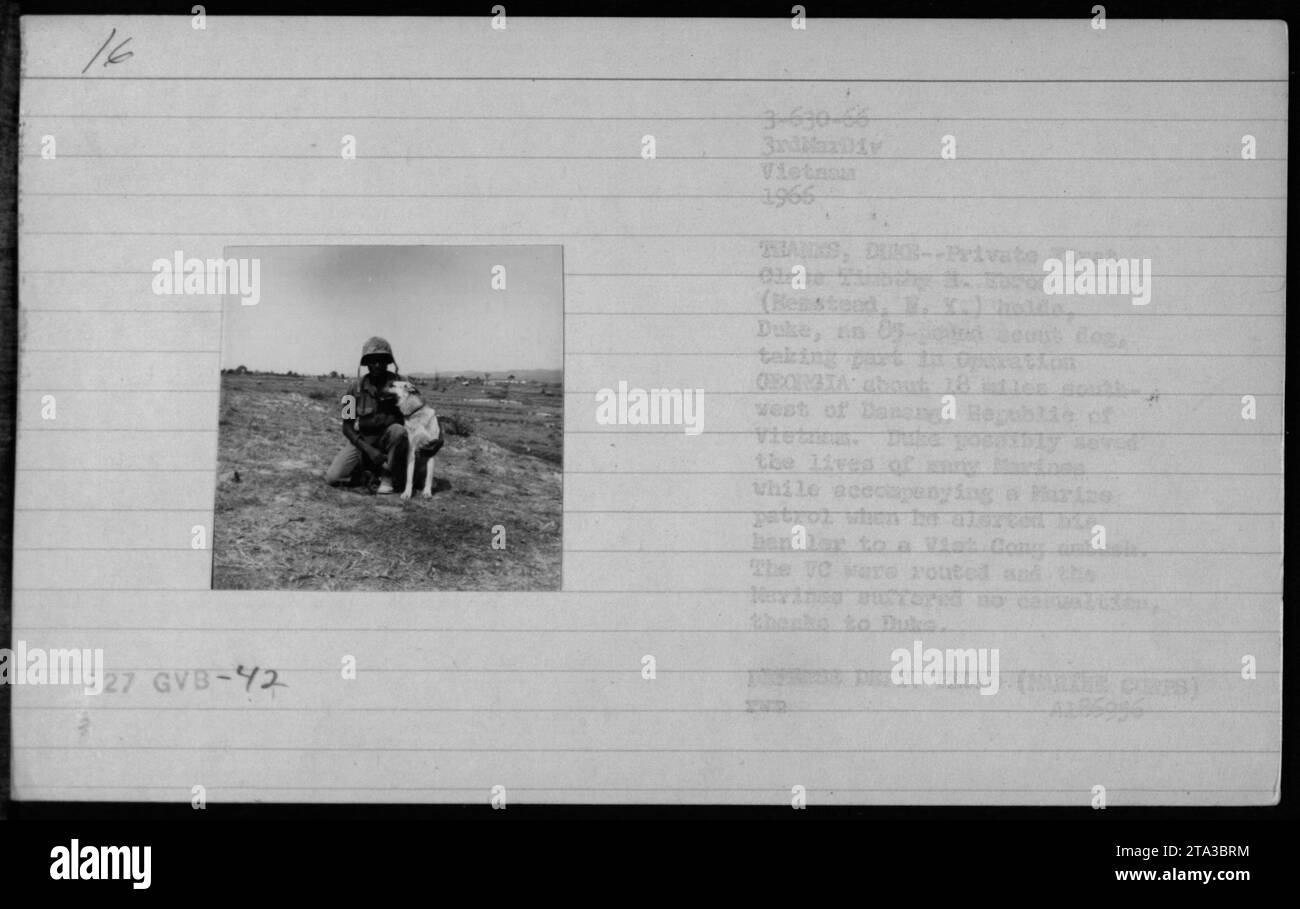 Soldiers from the 3rd Marine Division are seen with a captured enemy ...