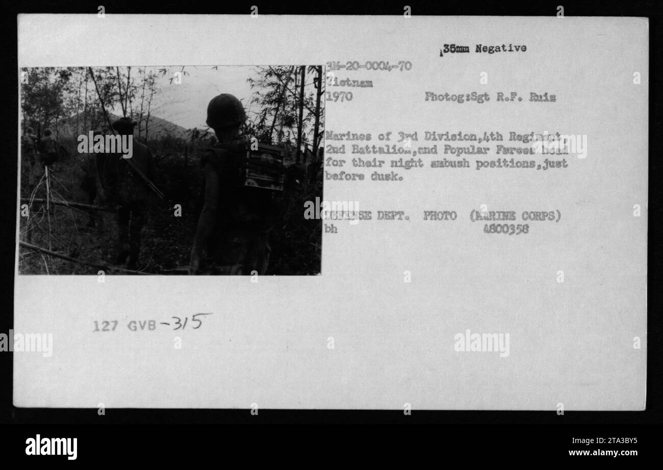 Marines of the 3rd Division, 4th Regiment, 2nd Battalion, and Popular ...