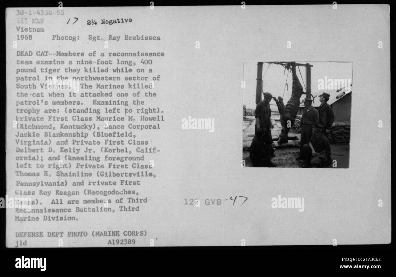 Members of a reconnaissance team examine a dead nine-foot long, 400 ...