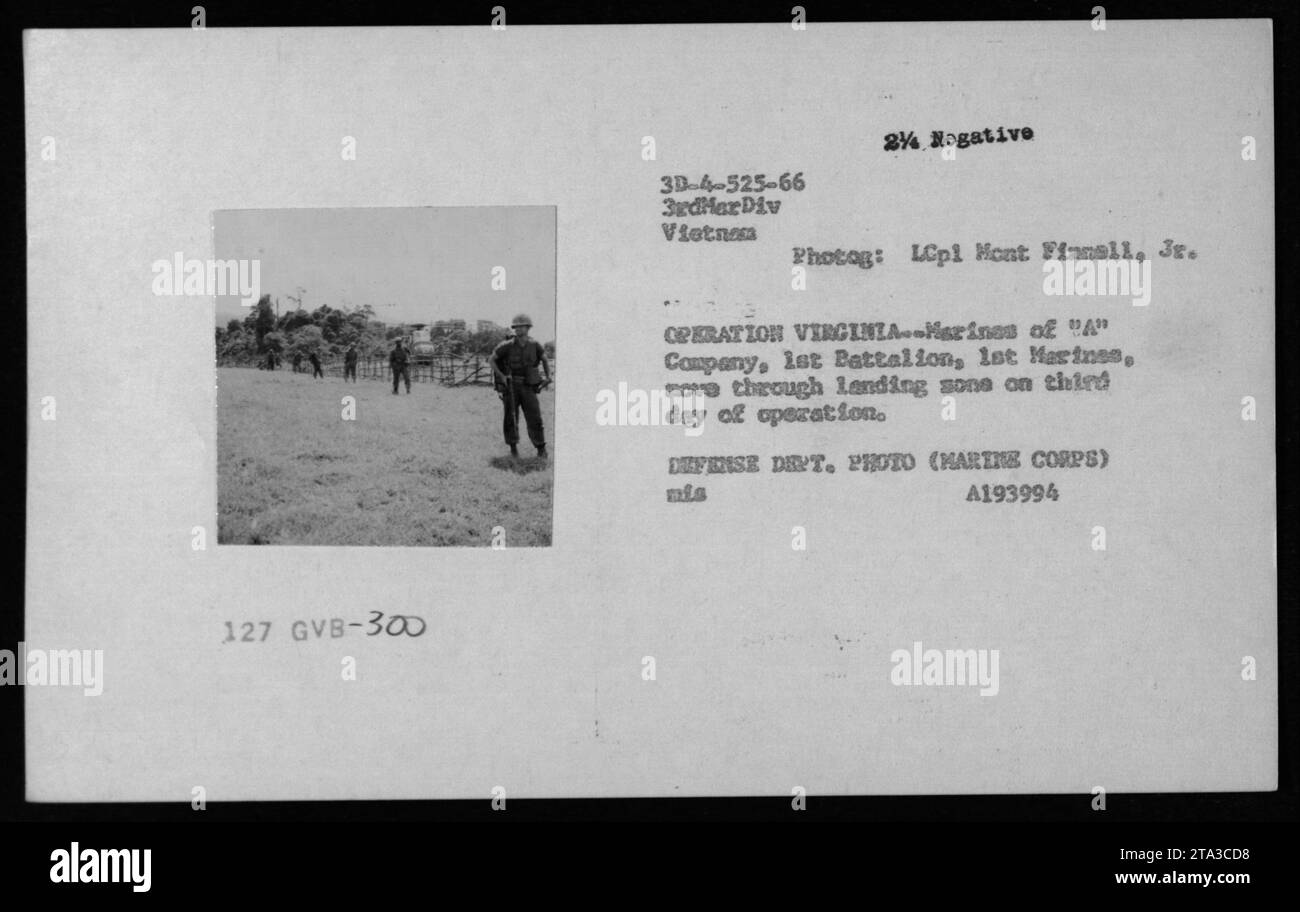 Marines of "A" Company, 1st Battalion, 1st Marines, are seen moving ...