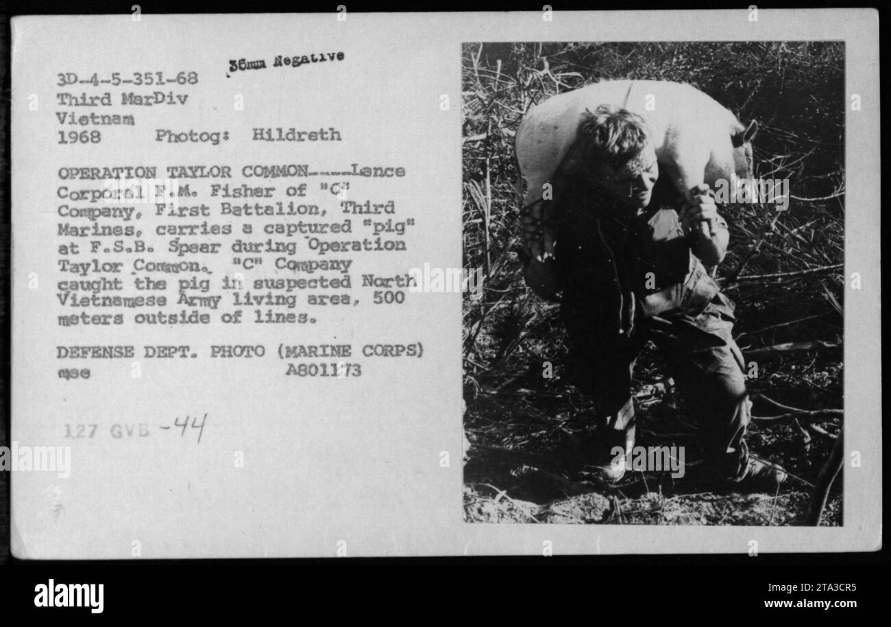 Pig part Black and White Stock Photos & Images - Alamy