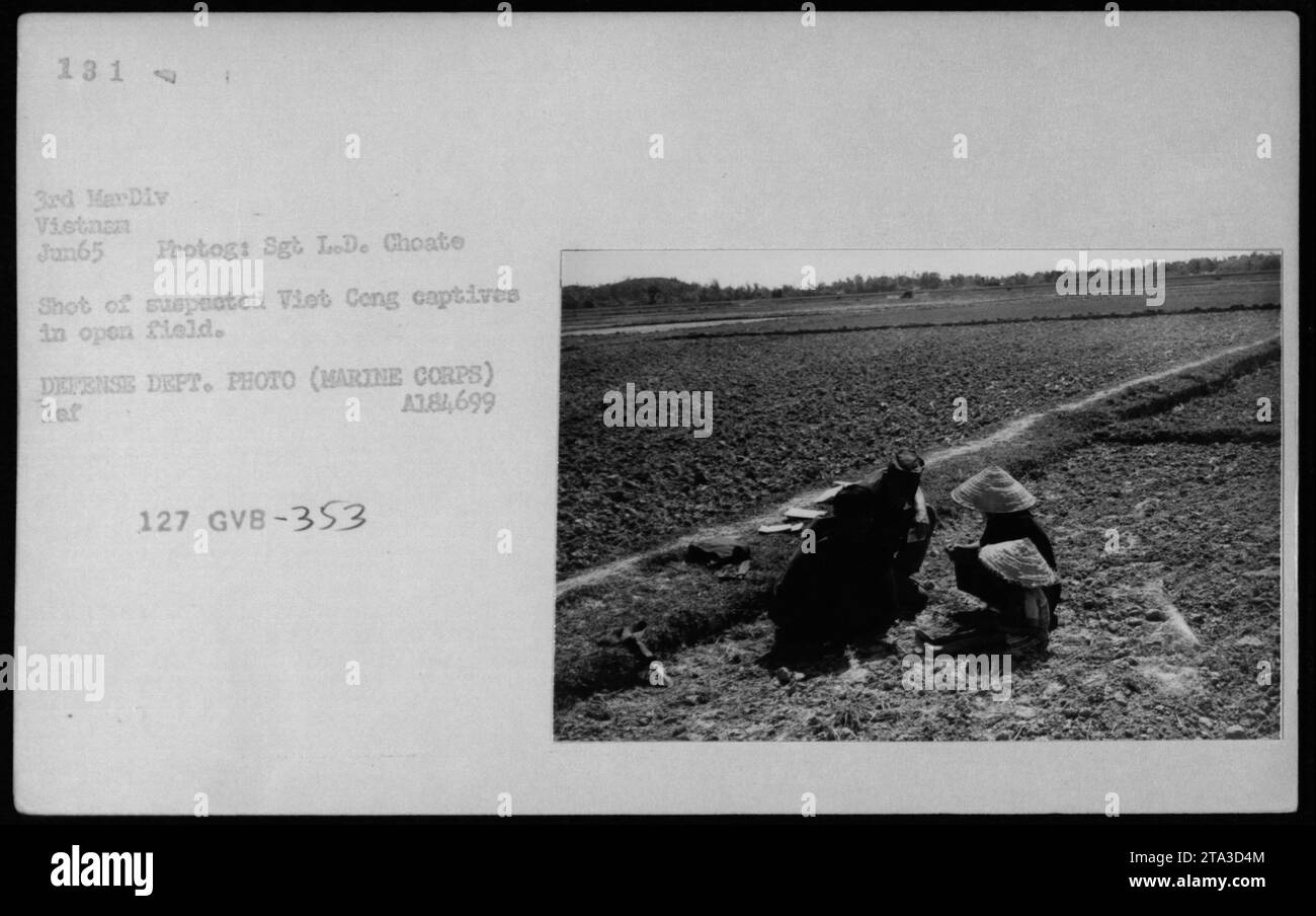 Suspected Viet Cong captives are photographed in an open field in June ...