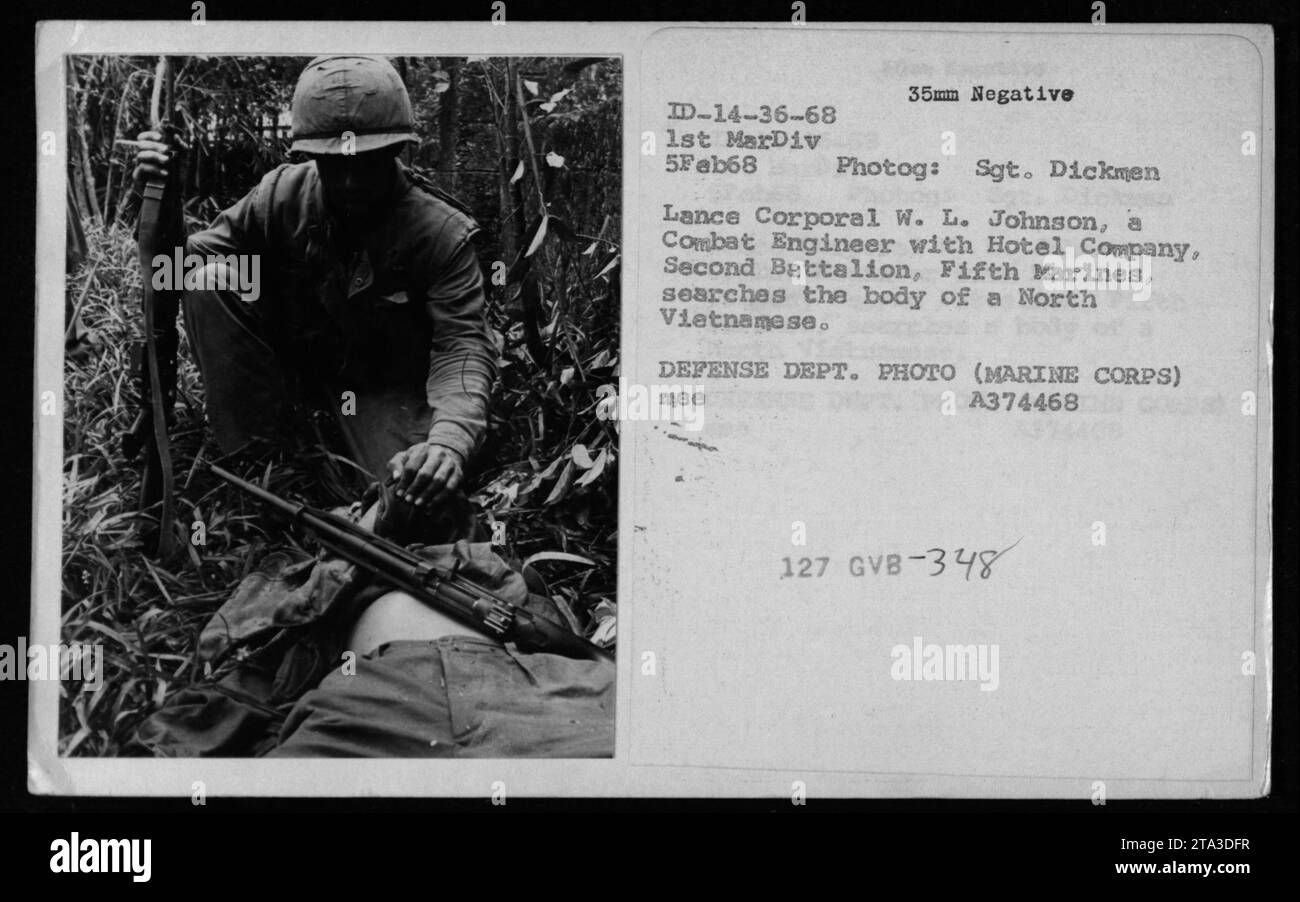 War casualties records hi-res stock photography and images - Alamy