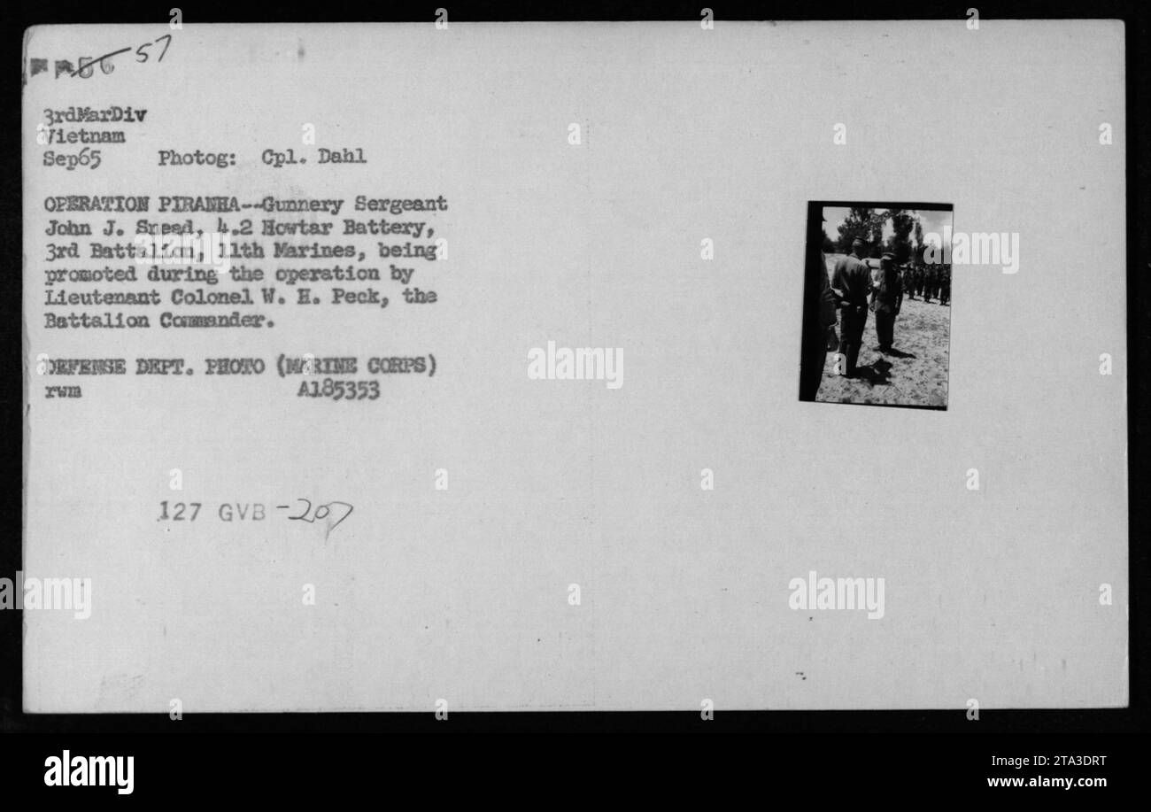 1965 graduation hi-res stock photography and images - Alamy