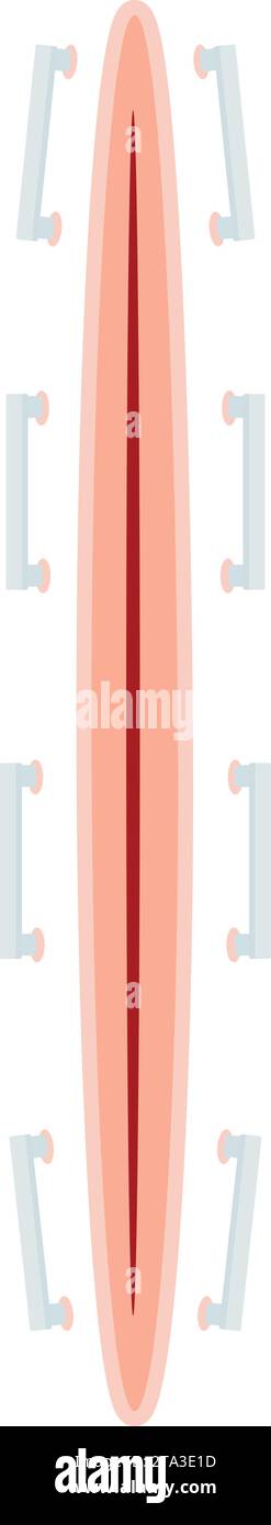 Surgical suture Stock Vector Images - Alamy