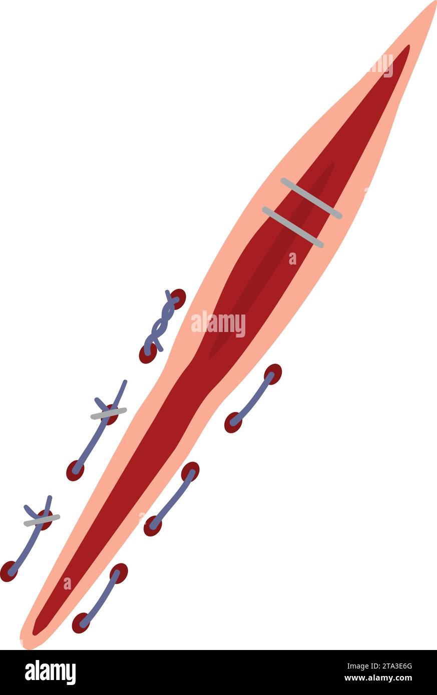 Human skin suture icon cartoon vector. Doctor surgeon Stock Vector ...