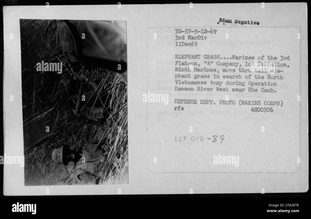 Marines from the 3rd Platoon, "A" Company, of the Ninth Marines ...