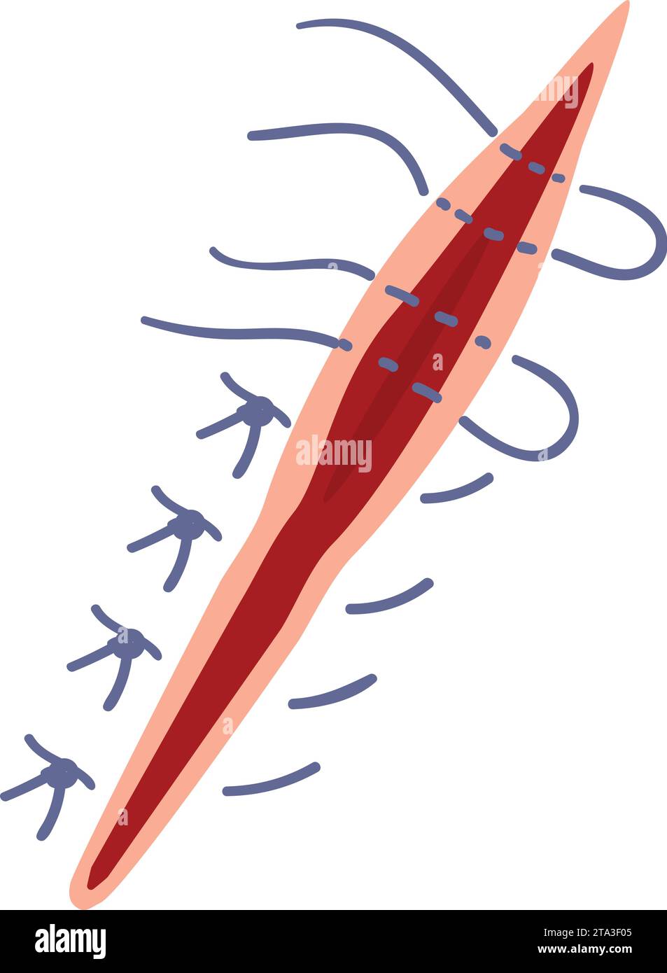 Suture care forceps icon cartoon vector. Health medical skin Stock ...