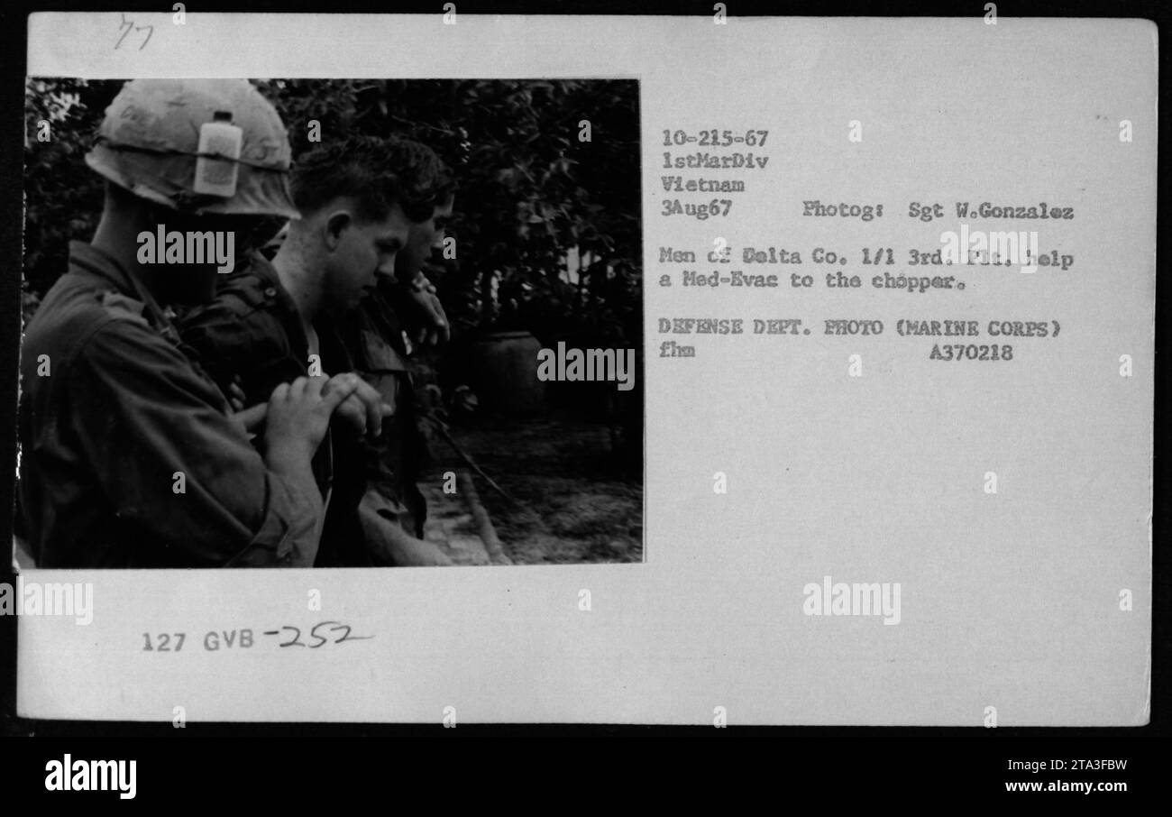 Military personnel of Delta Company, 1st Marine Division, assist in ...