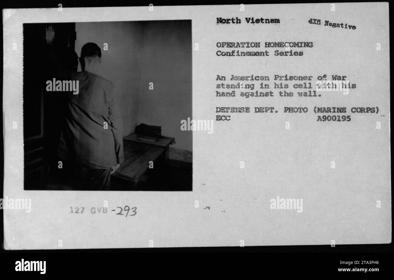 Pow cells Black and White Stock Photos & Images - Alamy