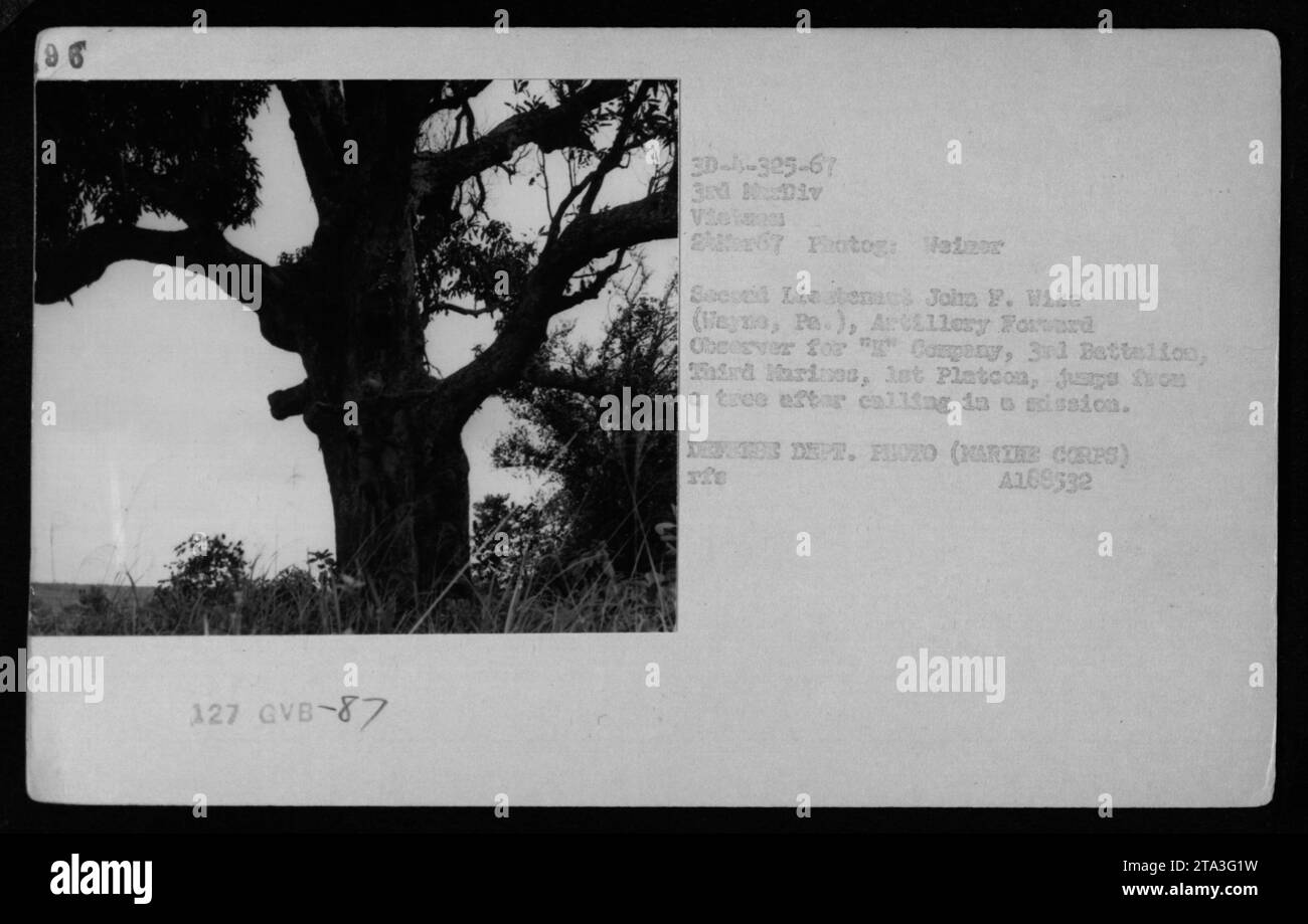 On March 24, 1967, Lt. John F. Wise, artillery forward observer for G ...