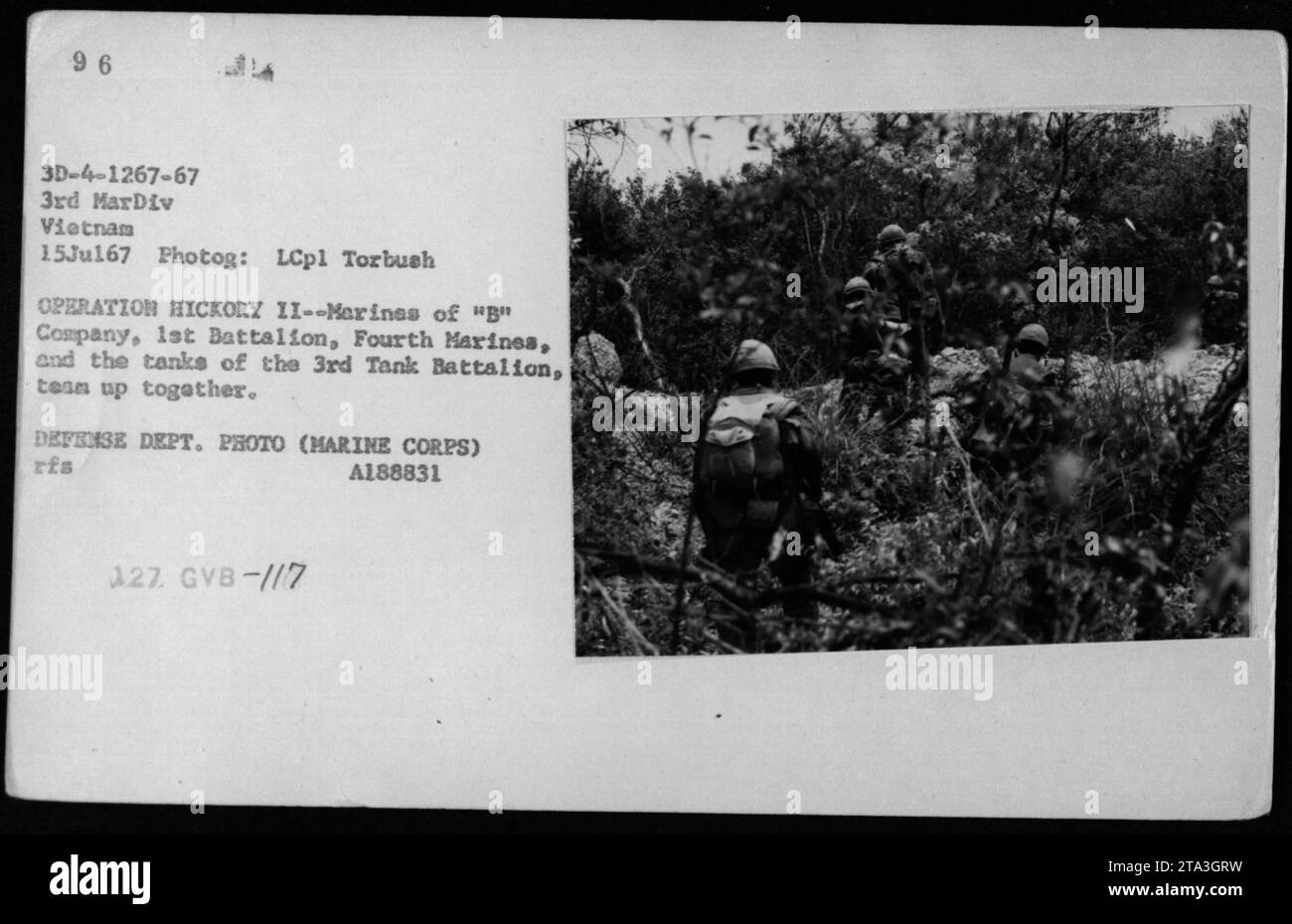 Marines 1st tank battalion Black and White Stock Photos & Images - Alamy