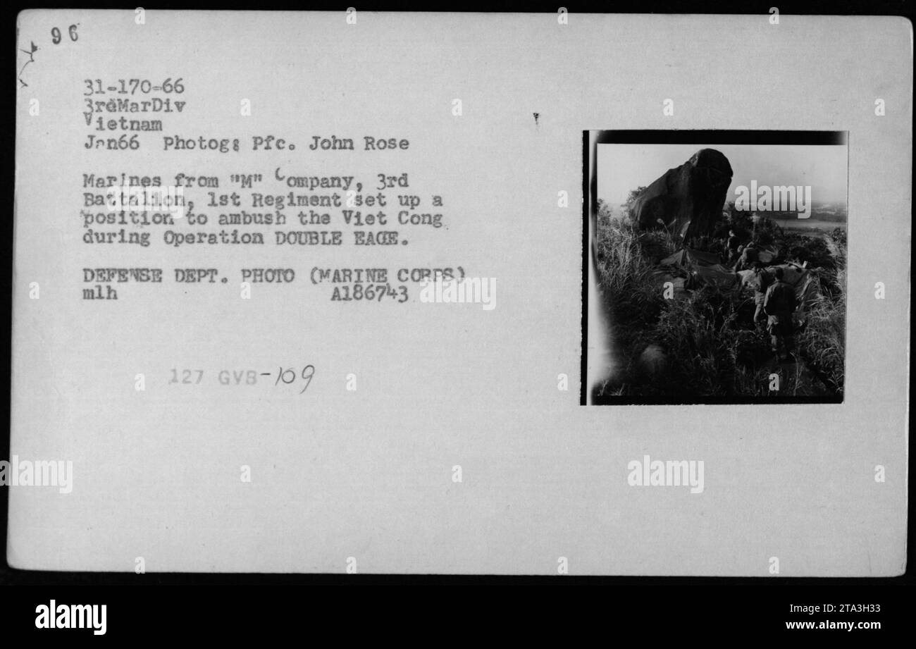 In January 1966, Marines from M Company, 3rd Battalion, 1st Regiment ...