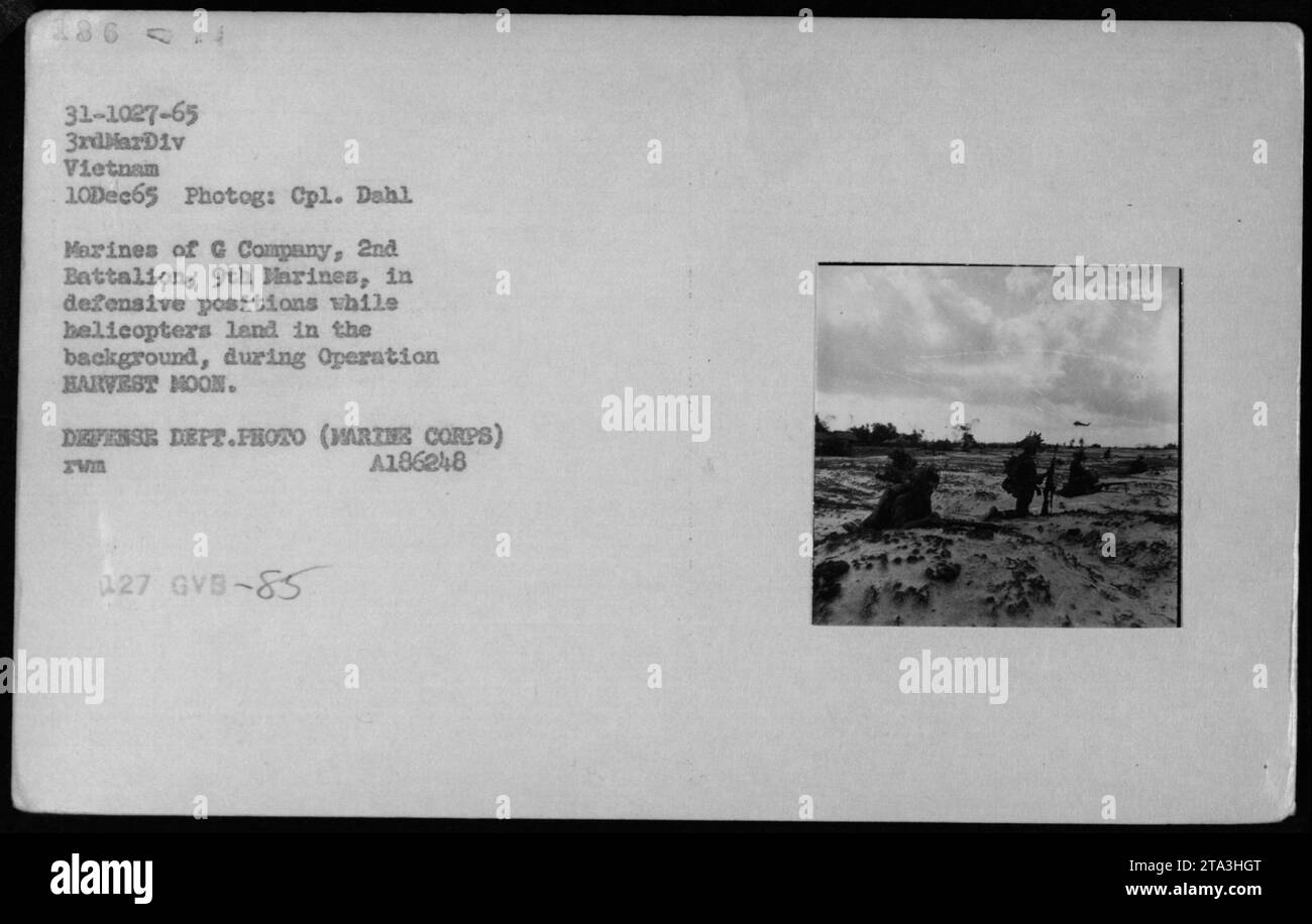 December 1965 military operations hi-res stock photography and images ...