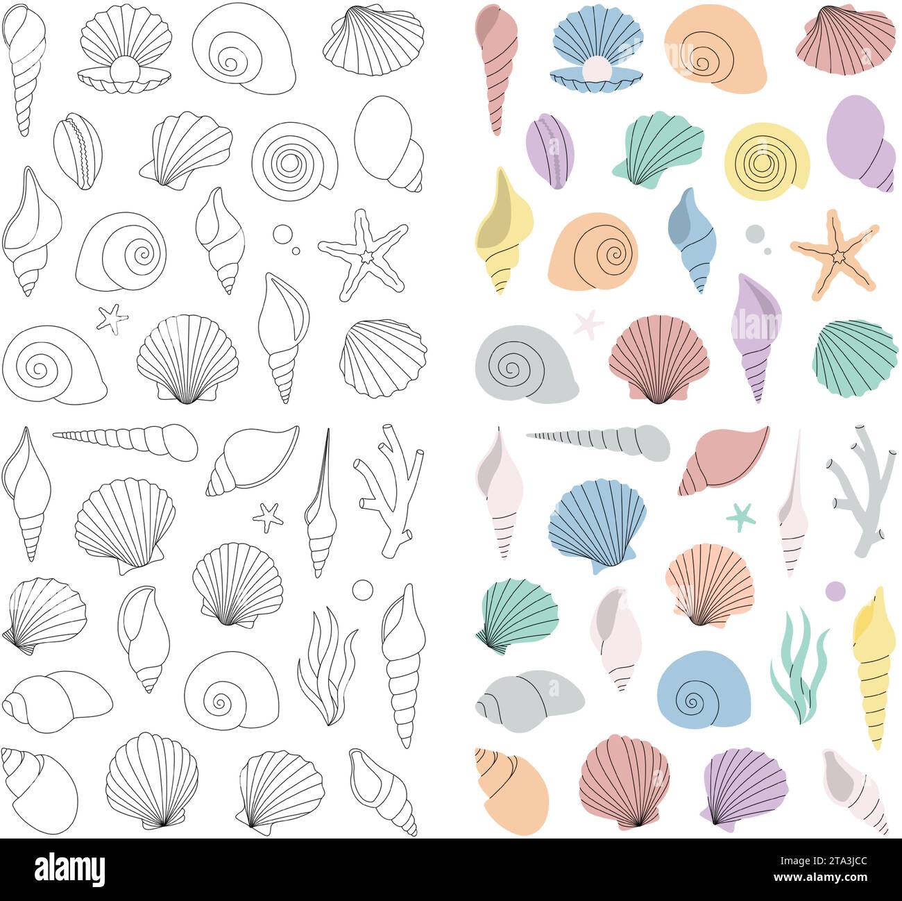 Tropical underwater shells. Sea shells vertical banner. Freshwater ...