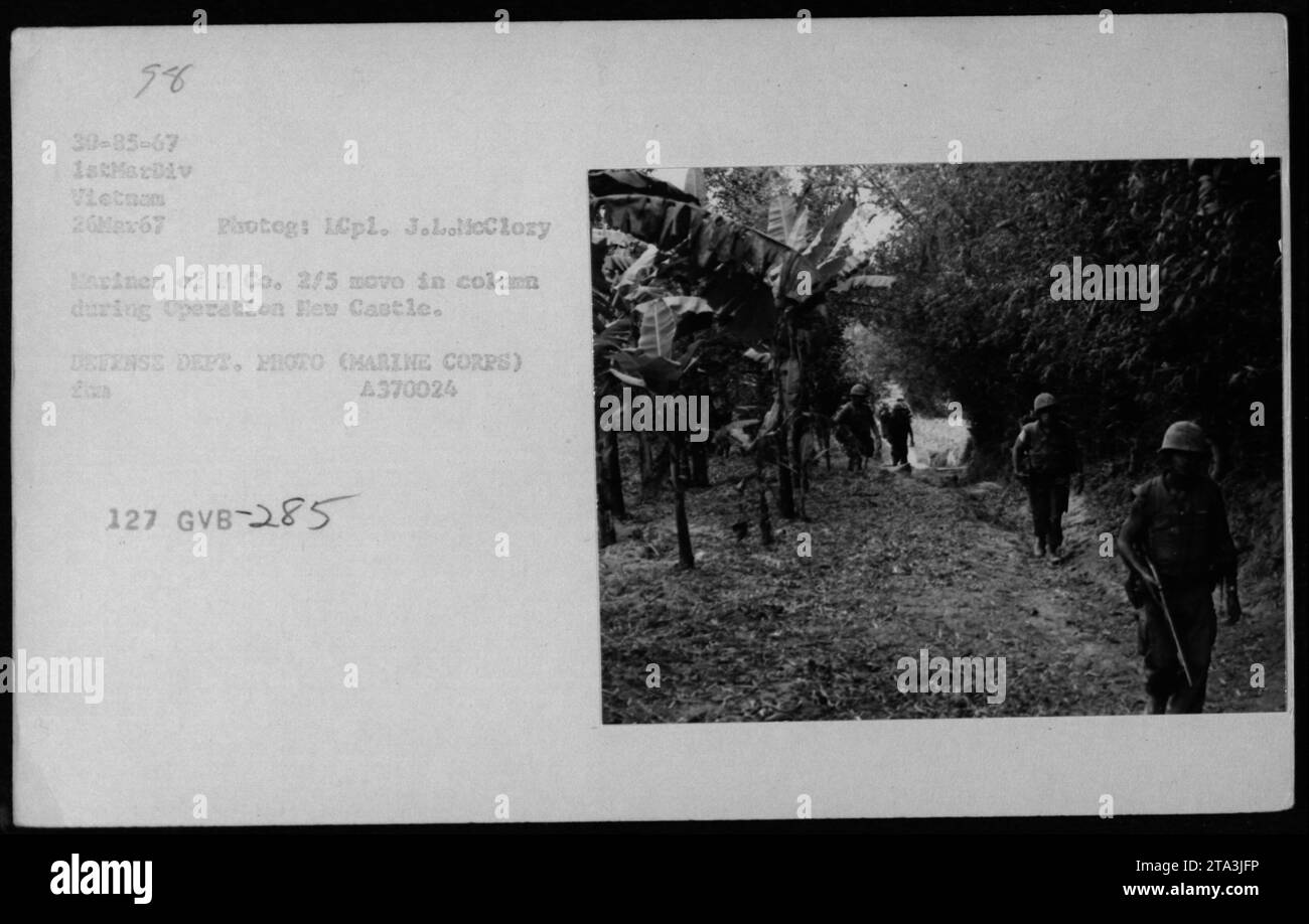 Marines of Company 2/5 move in a column during Operation New Castle in ...