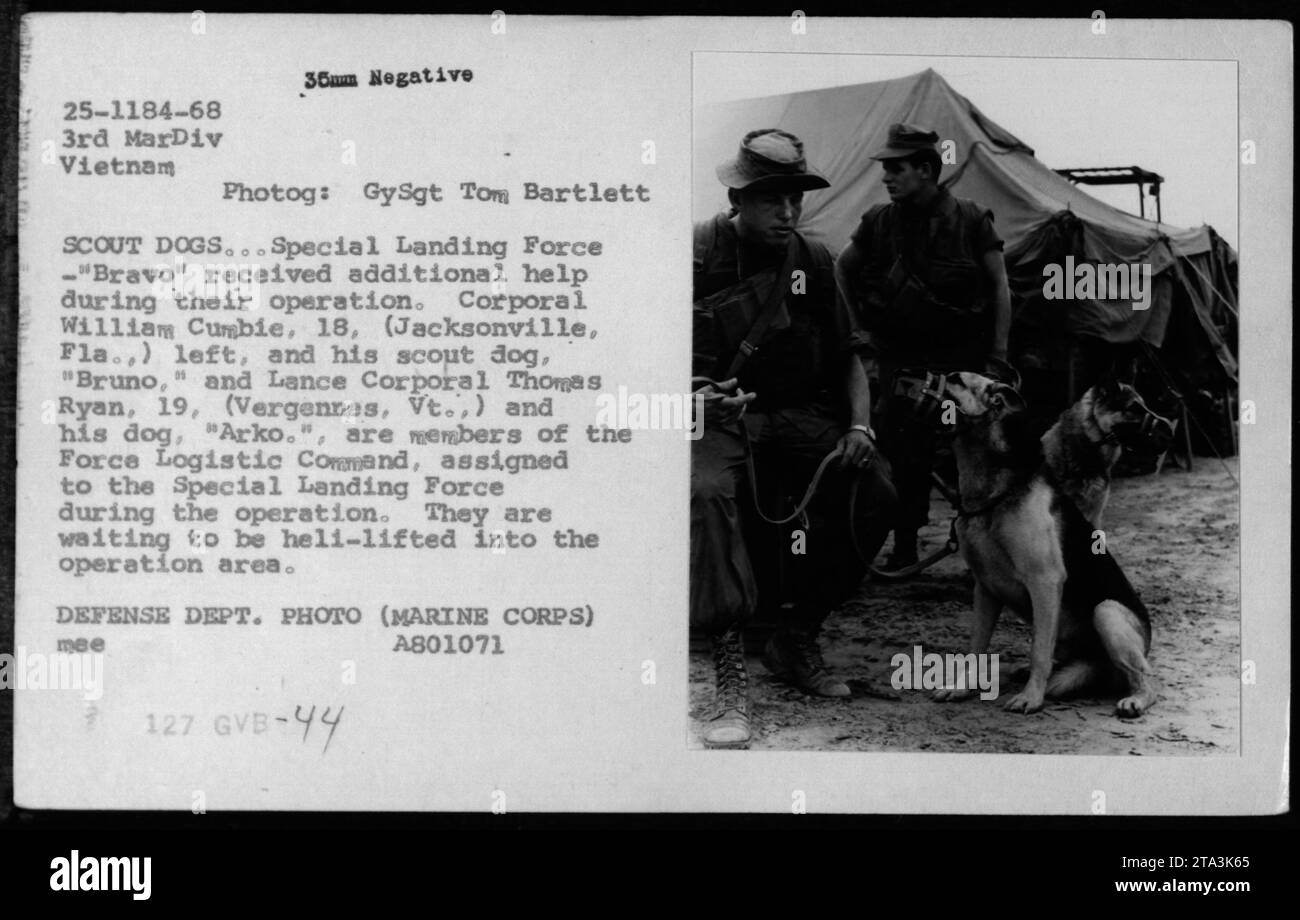 Marine Corps members Corporal William Cumbie and Lance Corporal Thomas ...