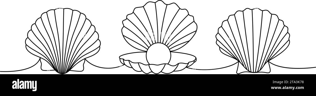 Pearl shells. Sea shells, mollusks, scallop, pearls. Tropical ...