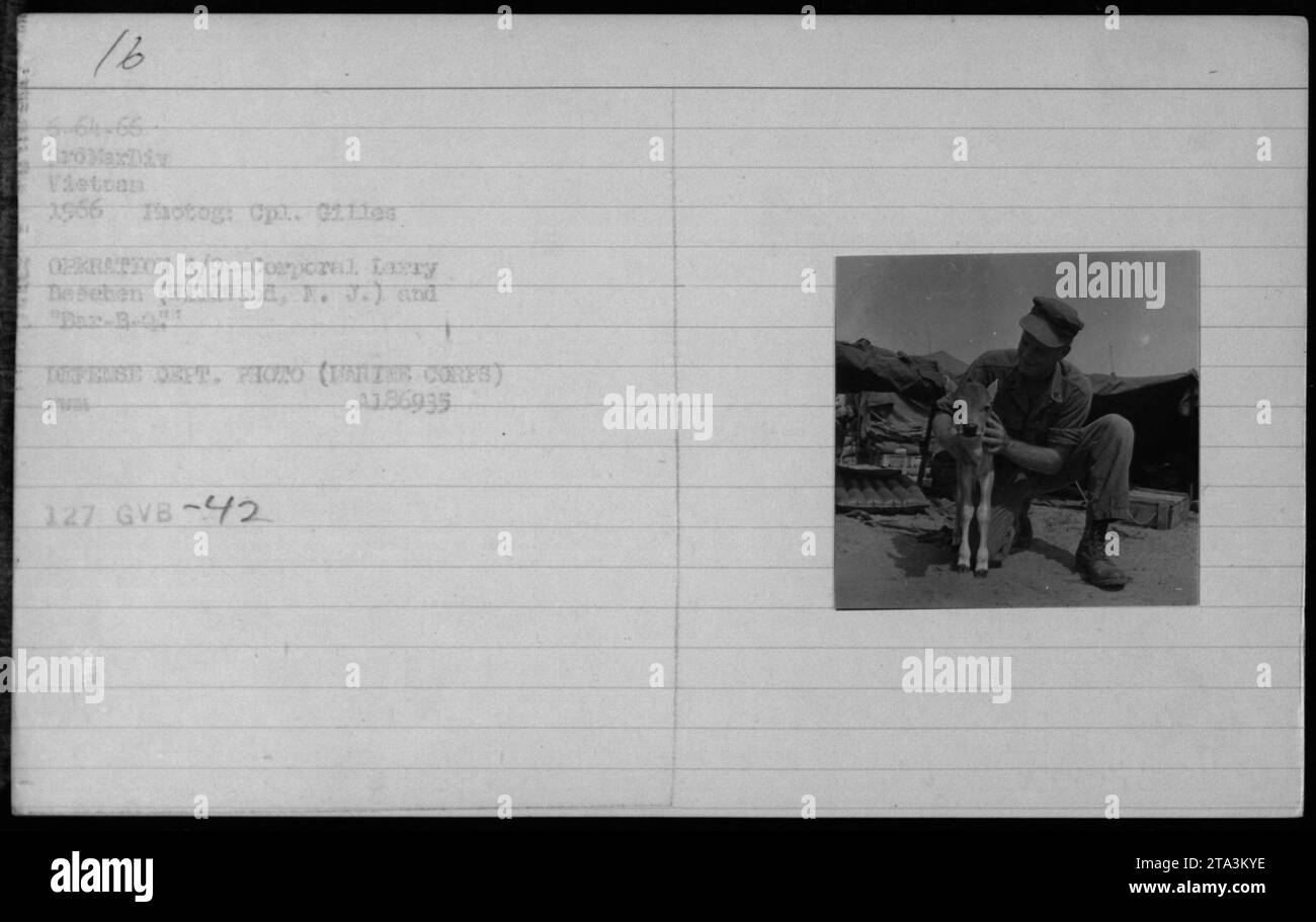 127 gvb 42 hi-res stock photography and images - Alamy