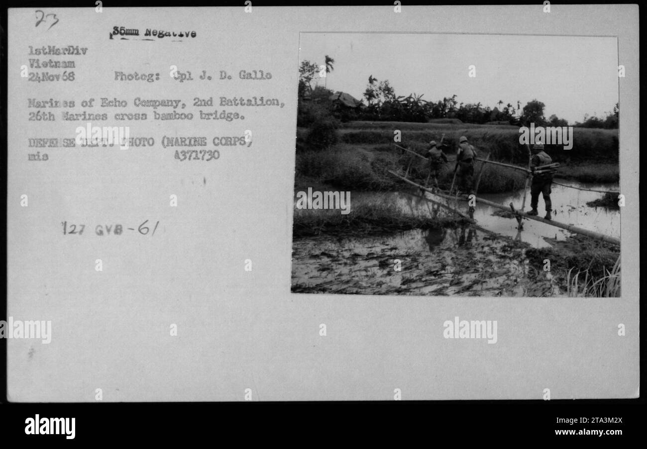 Marines of Echo Company, 2nd Battalion, 26th Marines crossing a bamboo ...