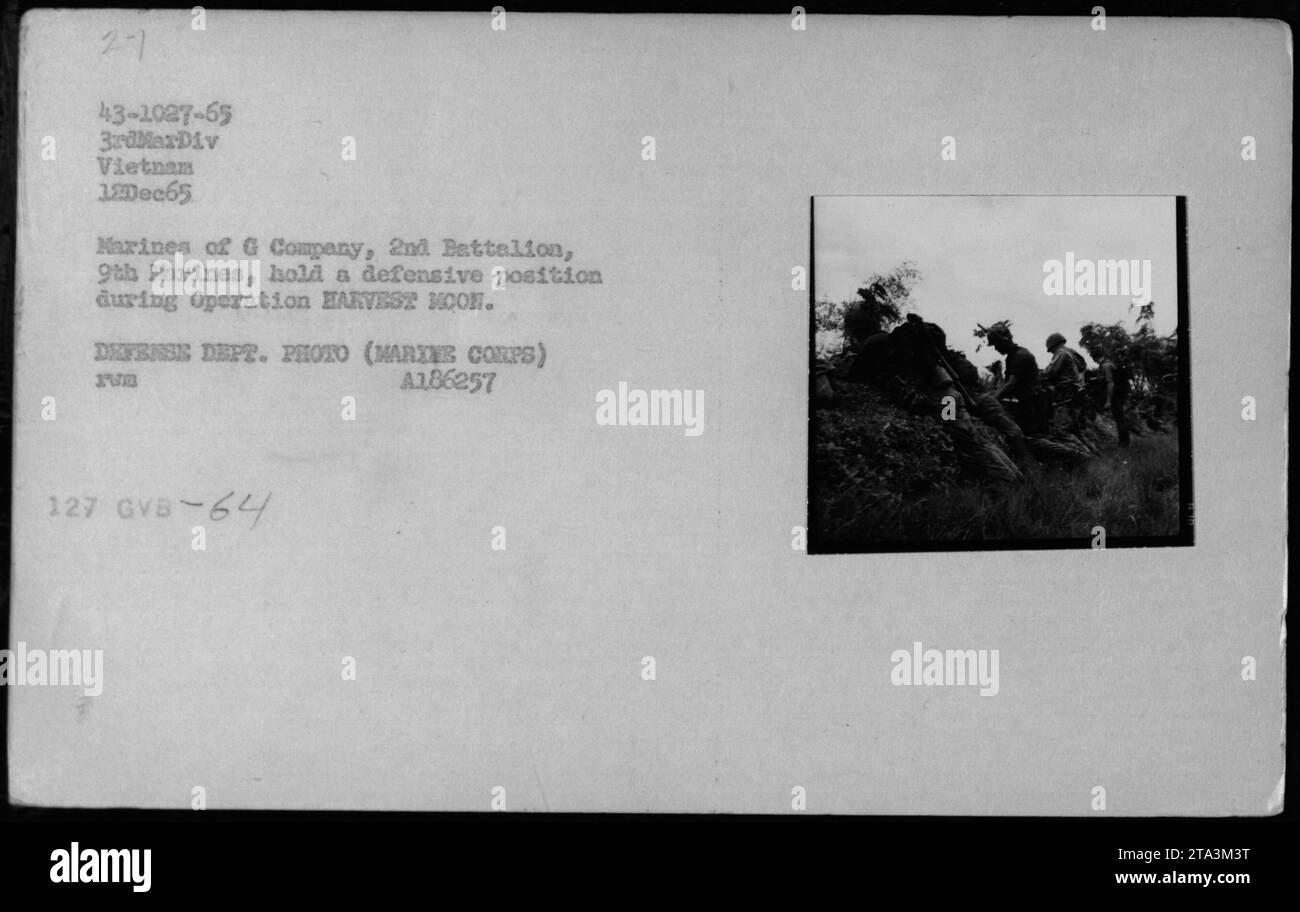 Marines from G Company, 2nd Battalion, 9th Marines hold a defensive ...