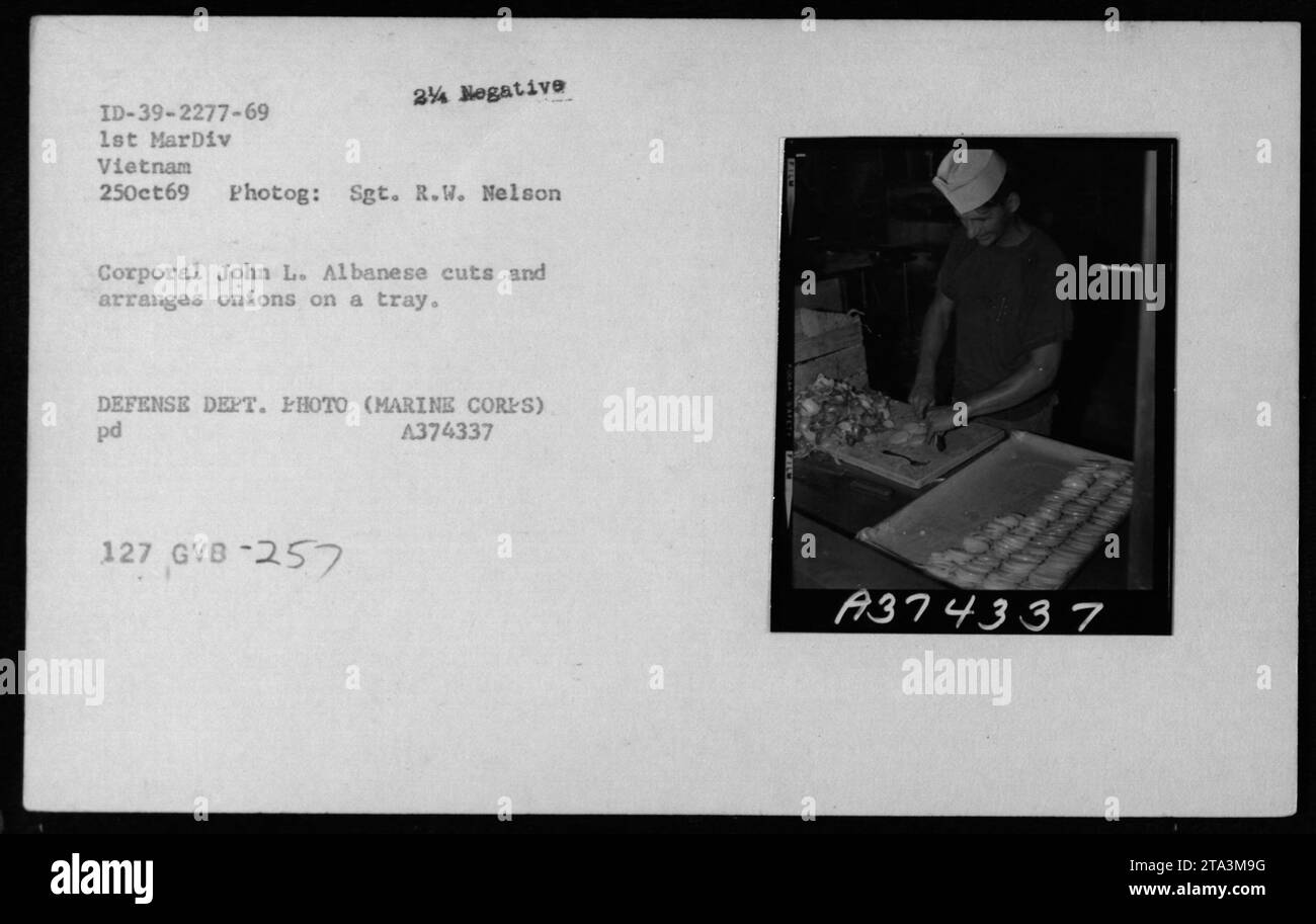 Corporal John L. Albanese, a messman with the 1st MarDiv in Vietnam, is ...