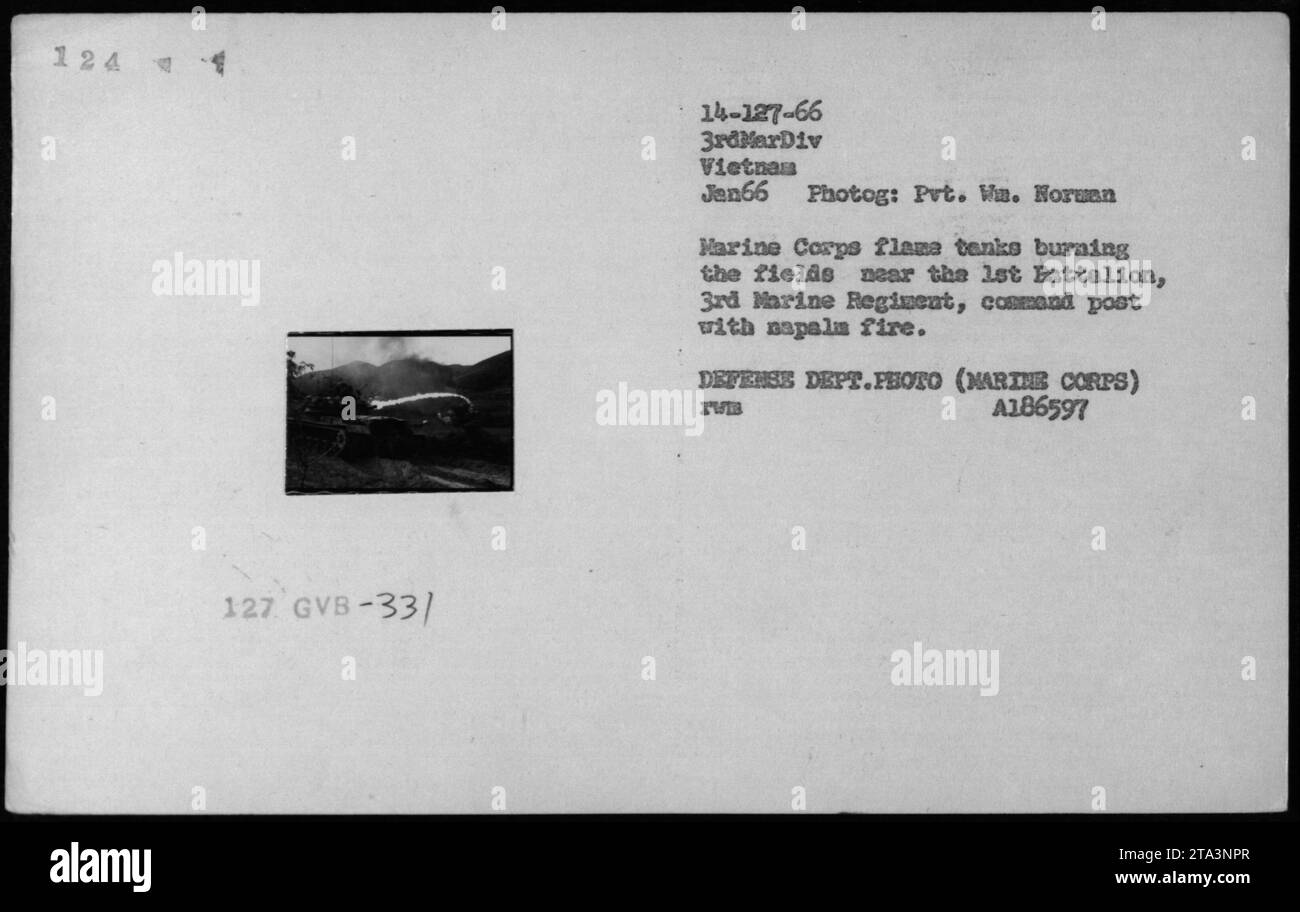 Marine Corps flame tanks burn the fields near the 1st Battalion, 3rd ...