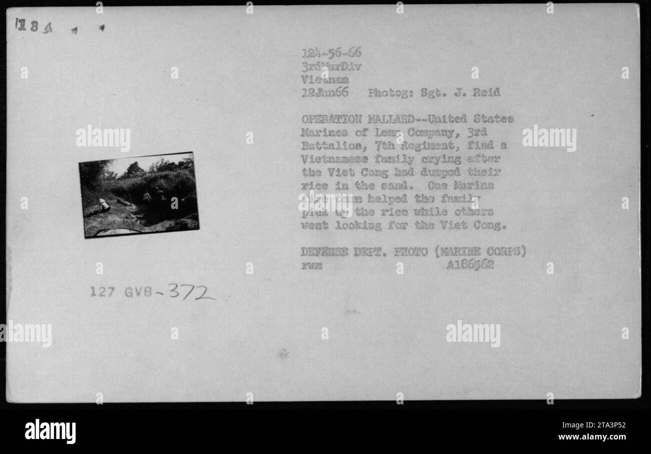 Operation mallard Black and White Stock Photos & Images - Alamy