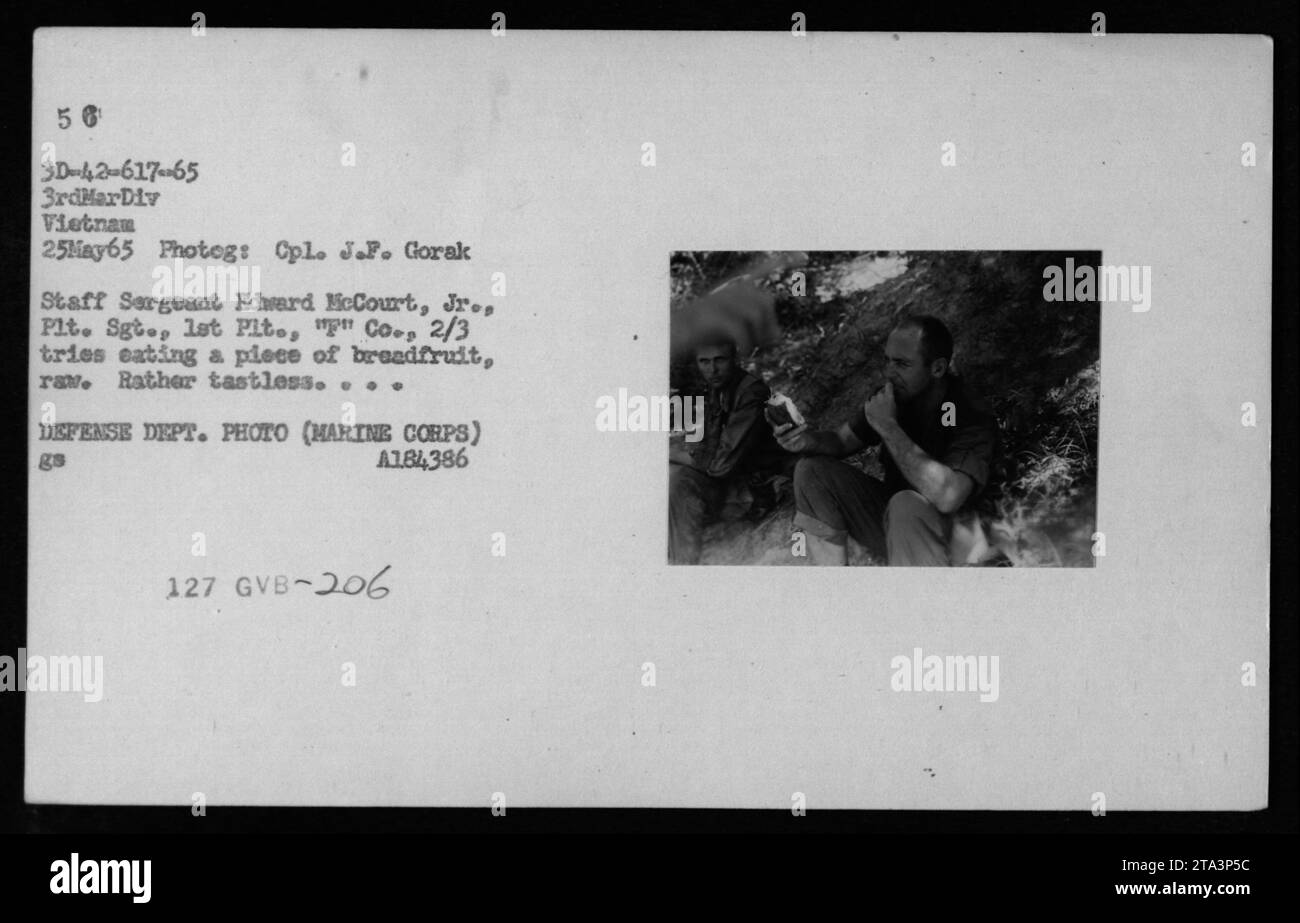 Sergeant edward mccourt hi-res stock photography and images - Alamy