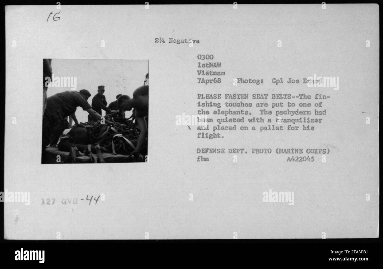 Marine Corps Corporal Joe Brand captured this April 7, 1968 photograph ...