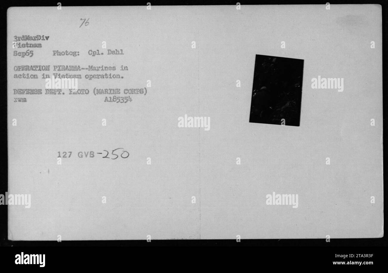 1965 marines in action Black and White Stock Photos & Images - Alamy