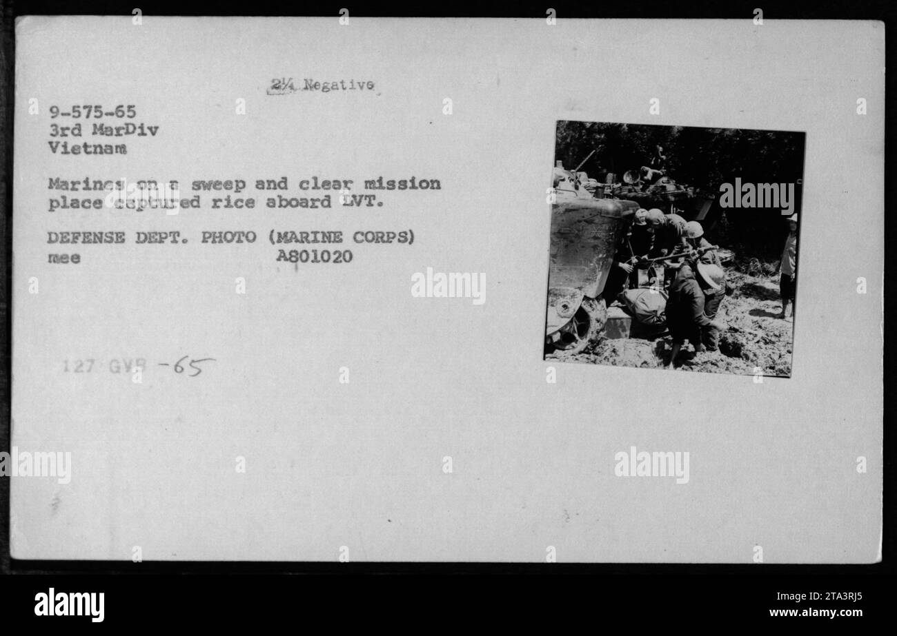 Marines from the 3rd Marine Division in Vietnam are seen placing ...