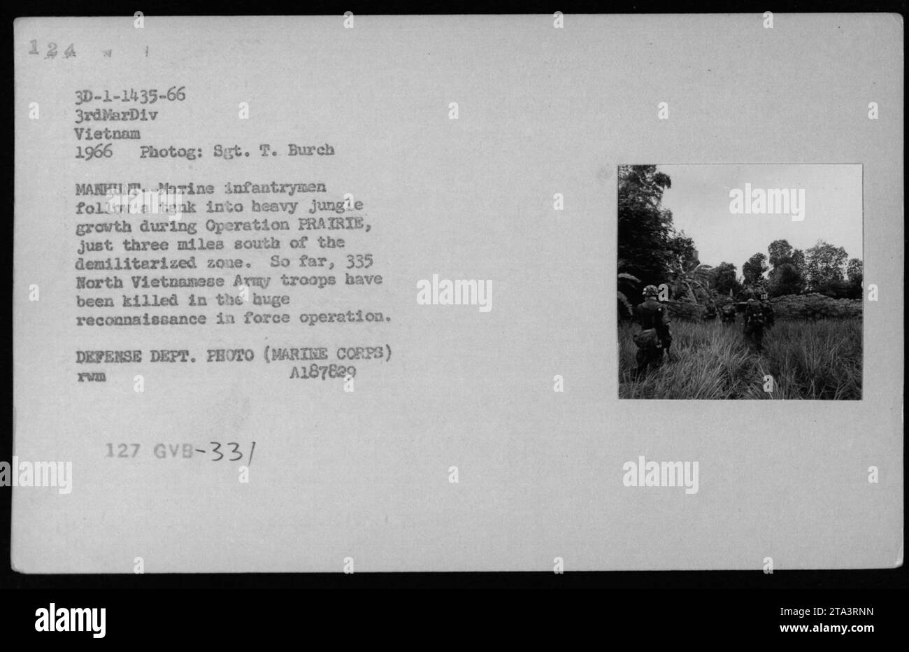 Marine infantrymen accompany a tank into dense jungle during Operation ...