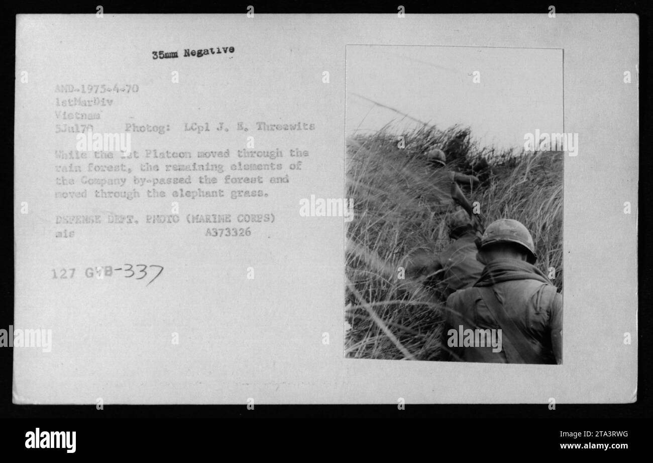 Jungle environment in vietnam war hi-res stock photography and images ...