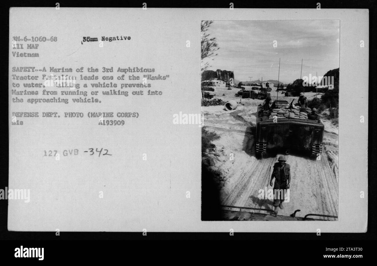 A Marine from the 3rd Amphibious Tractor Battalion leads one of the ...