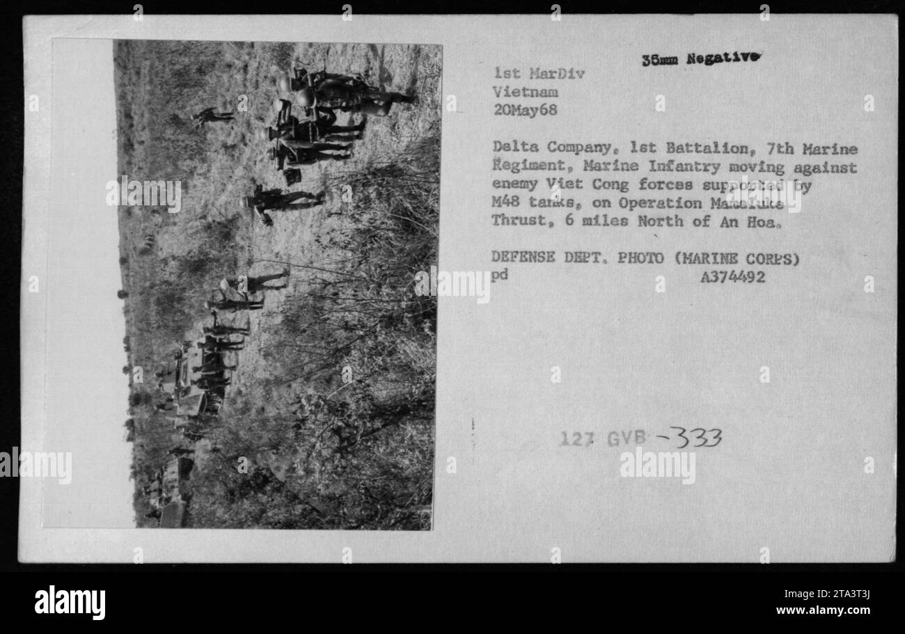 Marines from Delta Company, 1st Battalion, 7th Marine Regiment ...