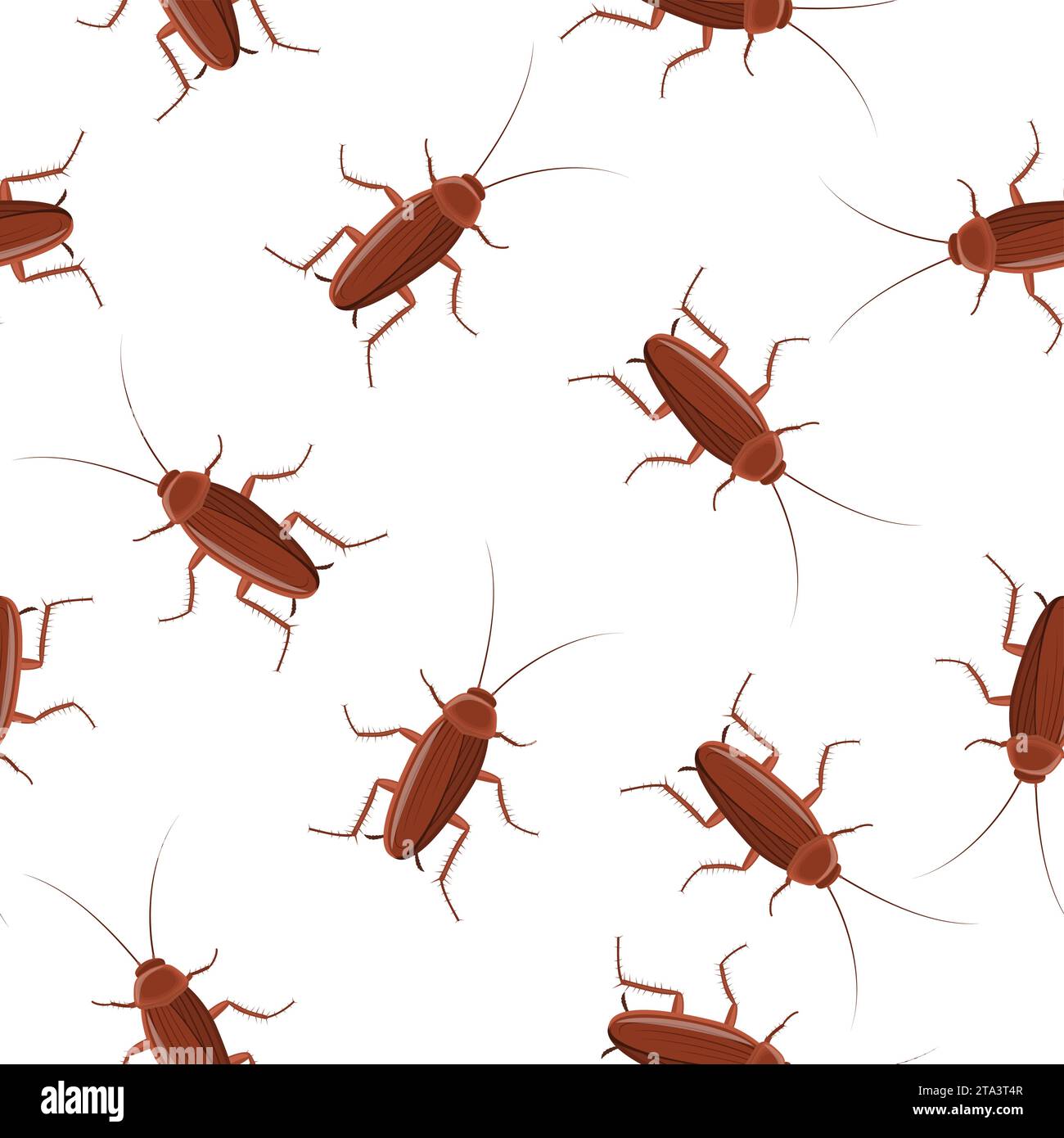 Disgusting insect Stock Vector Images - Alamy