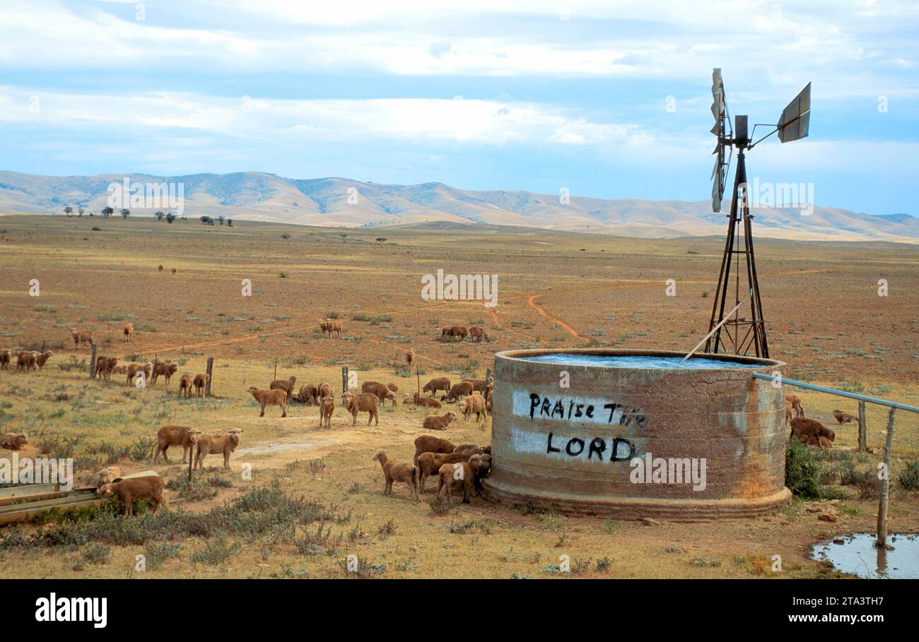 Desert country in outback South Australia with a water tank and sheep ...
