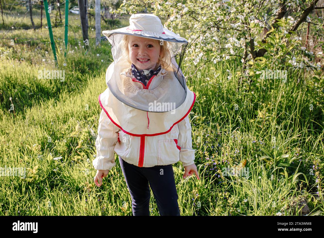 A little girl in a beekeeper costume helps in an apiary caring for bees ...