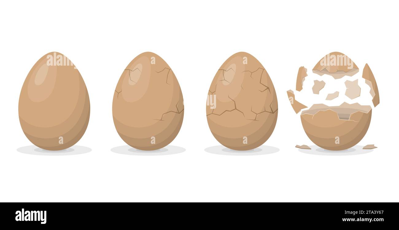 Chicken eggs hatching incubator Stock Vector Images - Alamy