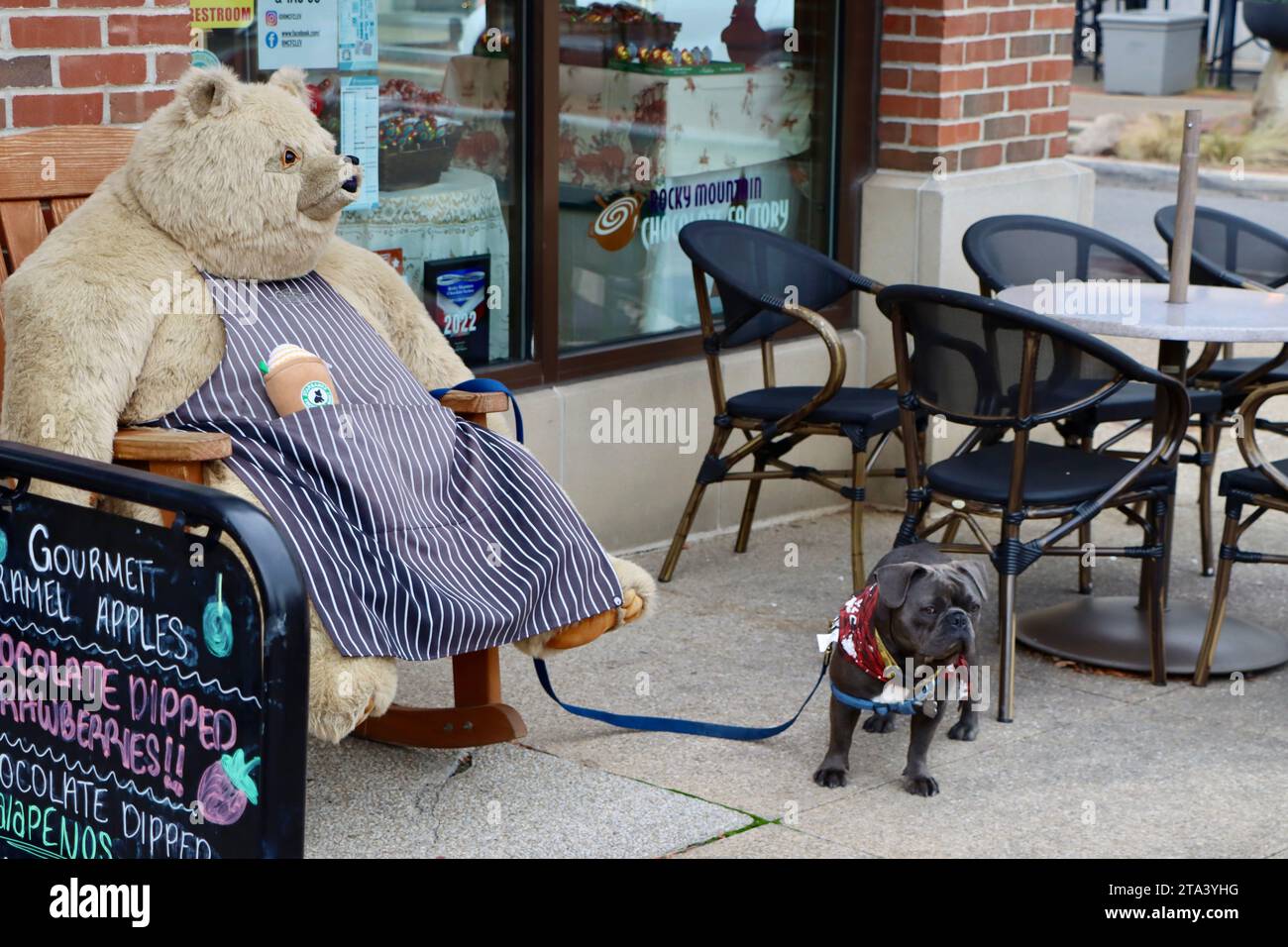 Can you believe it, she left me here all alone Stock Photo - Alamy